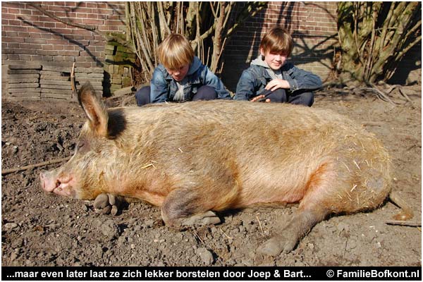 Weblog Familie Bofkont